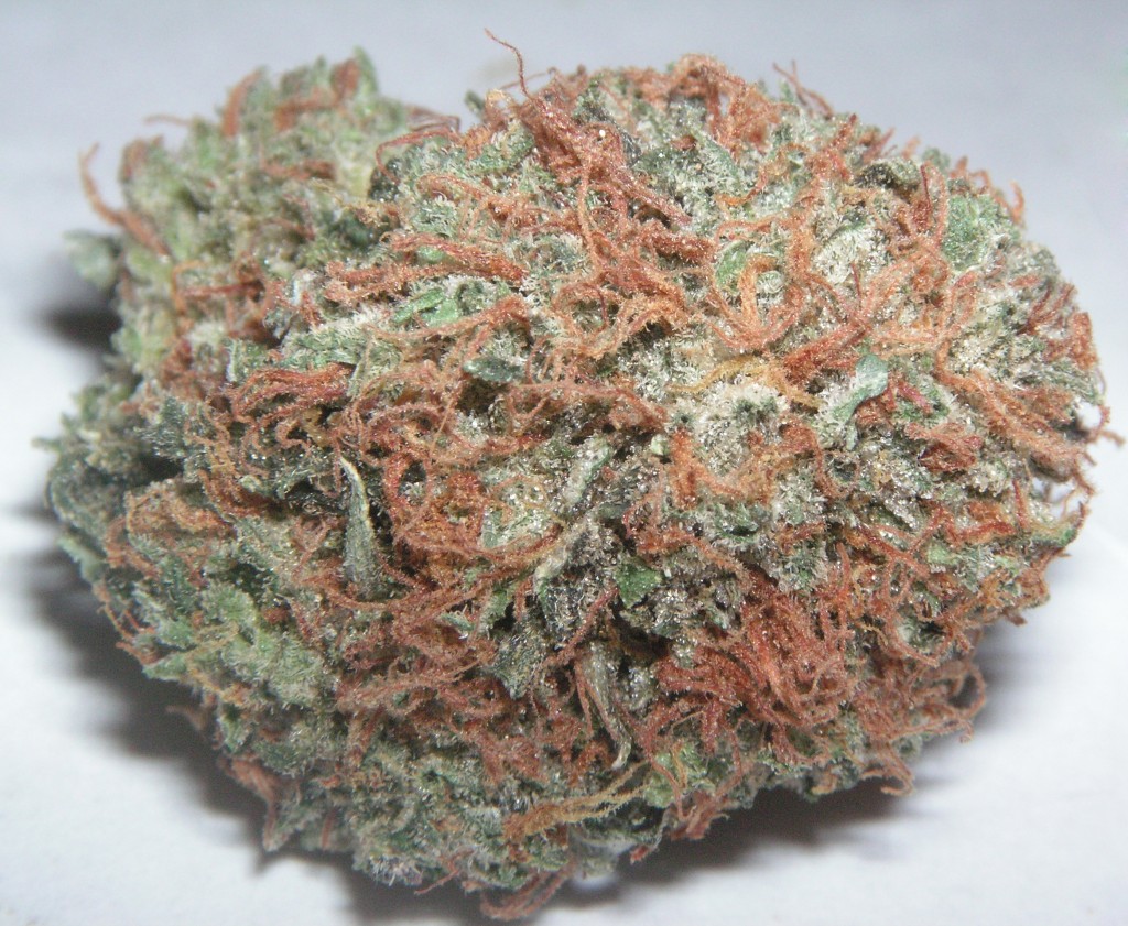 Marijuana-Infused Cookie Sends Boy to Hospital – Family Council