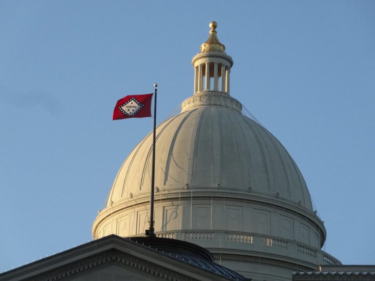 Where Do the Pro-Life Lawsuits Stand? – Family Council