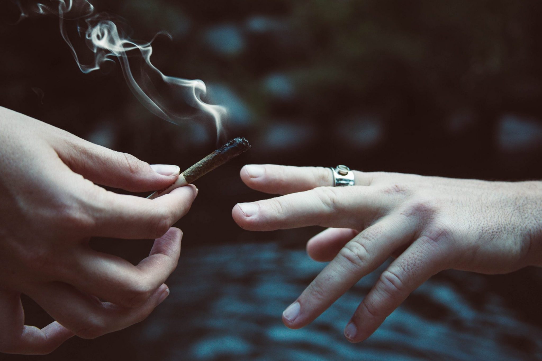 Five Facts About Marijuana’s Medical Risks – Family Council