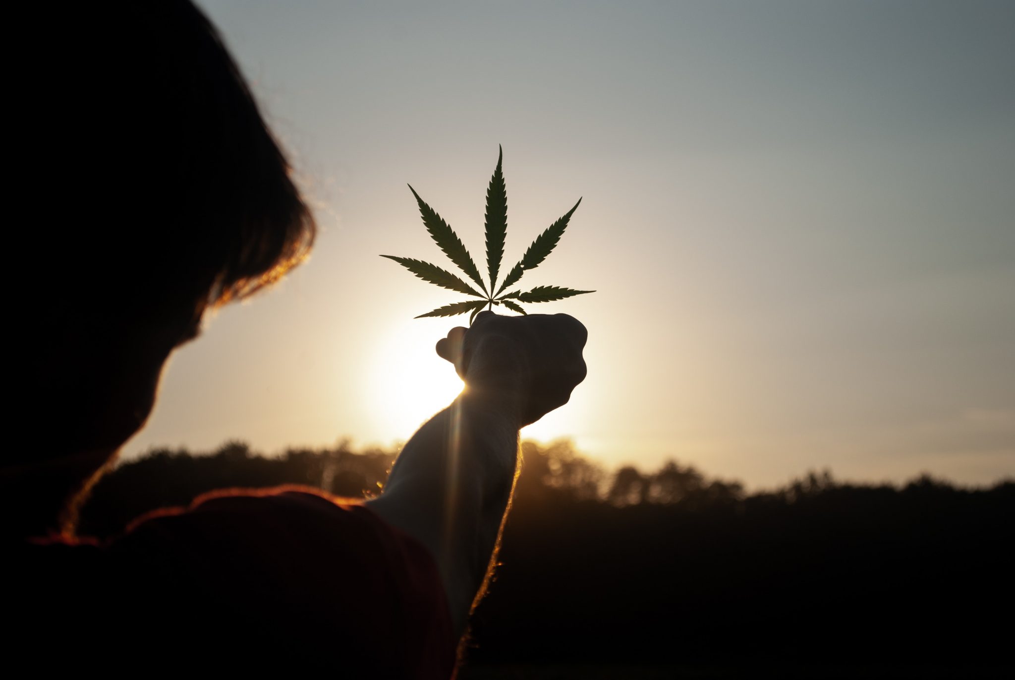 Heavy Marijuana Use Increases Risk of Surgery Complications: New Study ...
