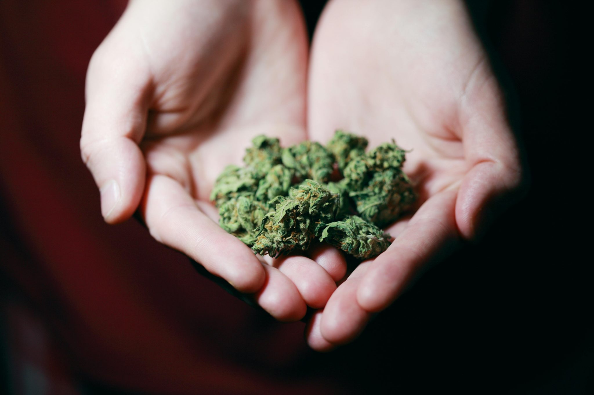 High Stakes, Low Standards: Hemp Edibles Fail the Test in Oregon ...