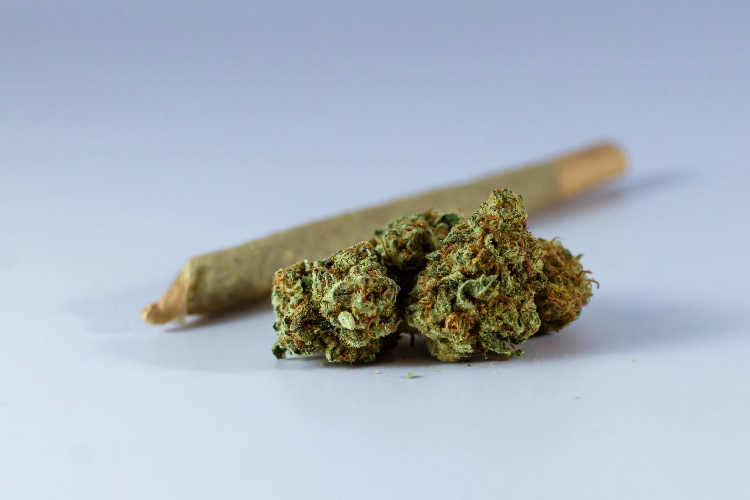 New Study Shows Marijuana is Sending Older Adults to the E.R. – Family ...